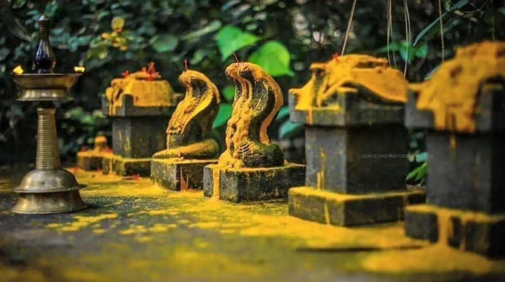 12 മാസം സര്‍പ്പപൂജ ചെയ്താൽ രാഹുദോഷം മാറിക്കിട്ടും - jyothishakairali.com
